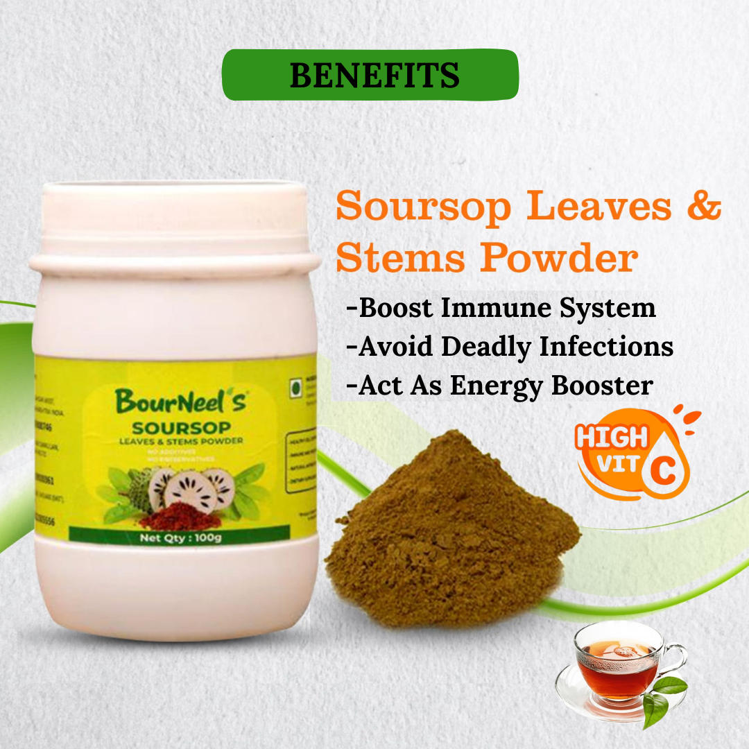 Buy Soursop Natural and Organic Leaves and Stems Powder (100 GM) Online ...